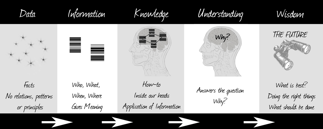 Understanding. Can We Have A Reasonable Discussion? | MyWheelLife.com